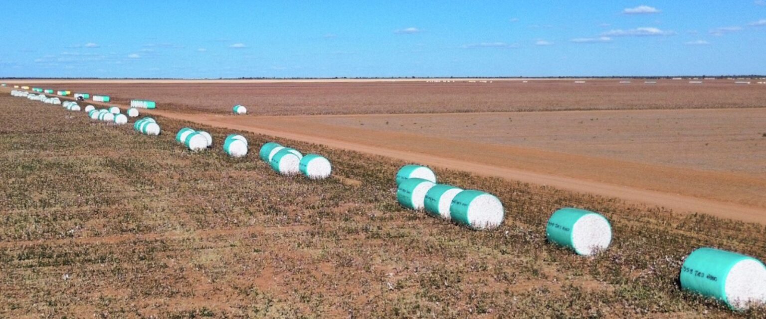 Optimal Cotton Module Placement: Best Practices & Tips