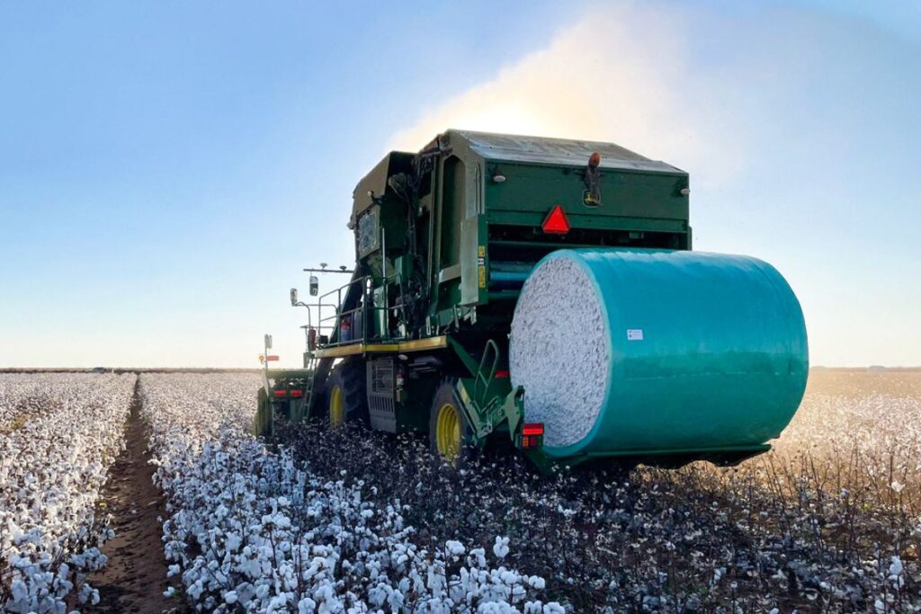 Cotton Module vs. Cotton Bale: They Key Differences
